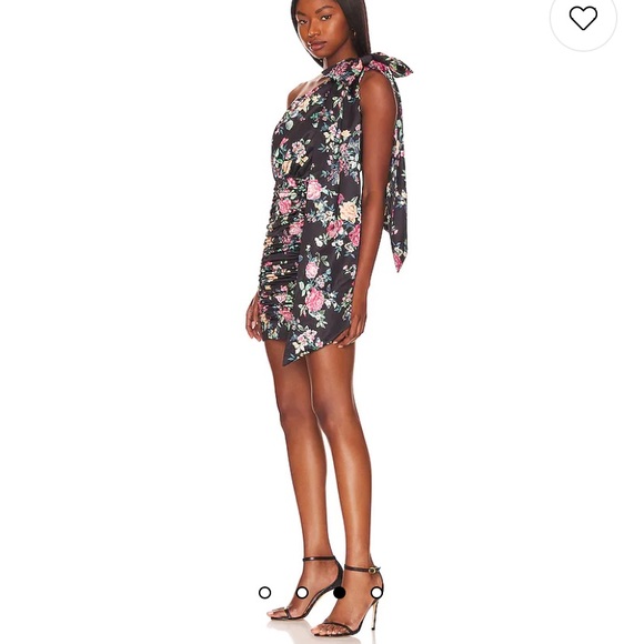 Lovers + Friends | Dresses | Arianne Mini Dress In Climbing Florida ...